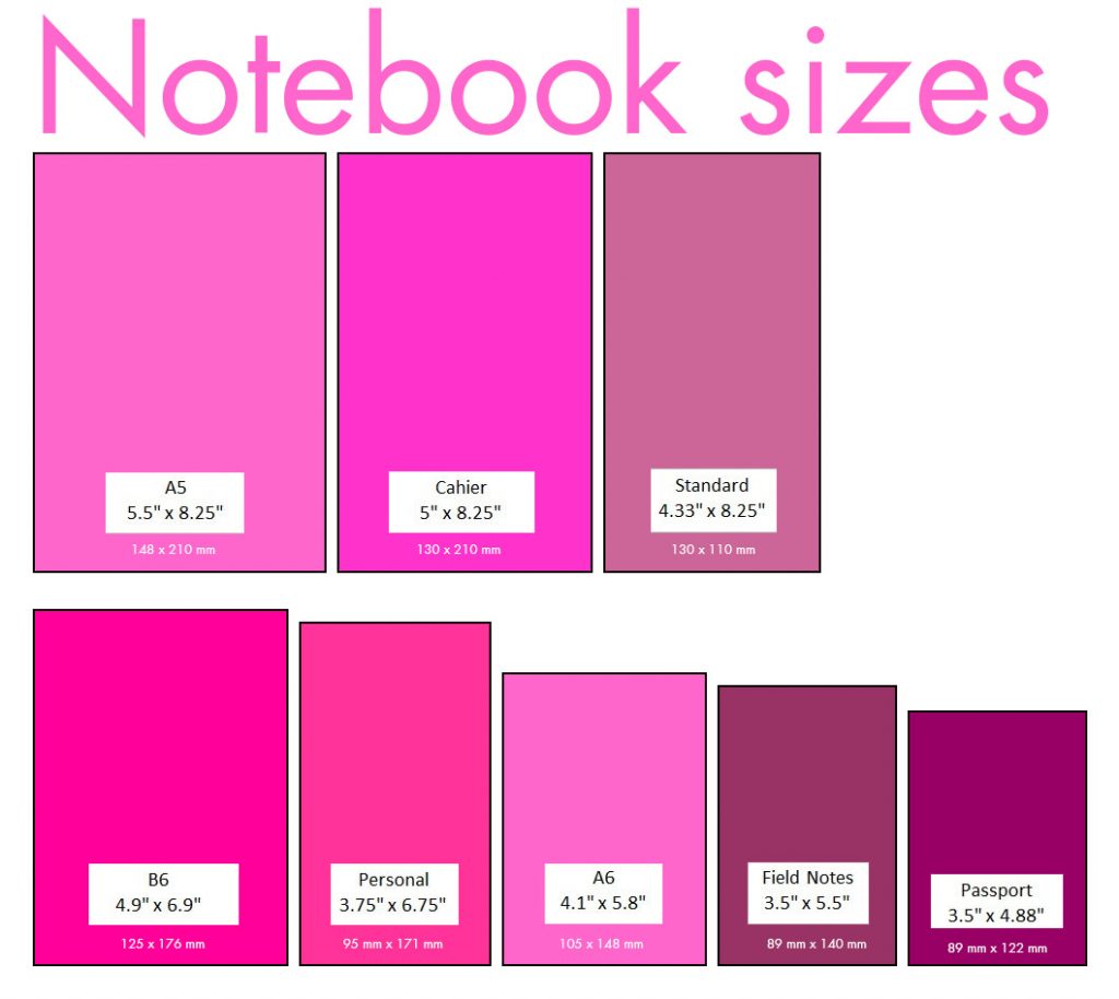 18 Best Guess Size Chart